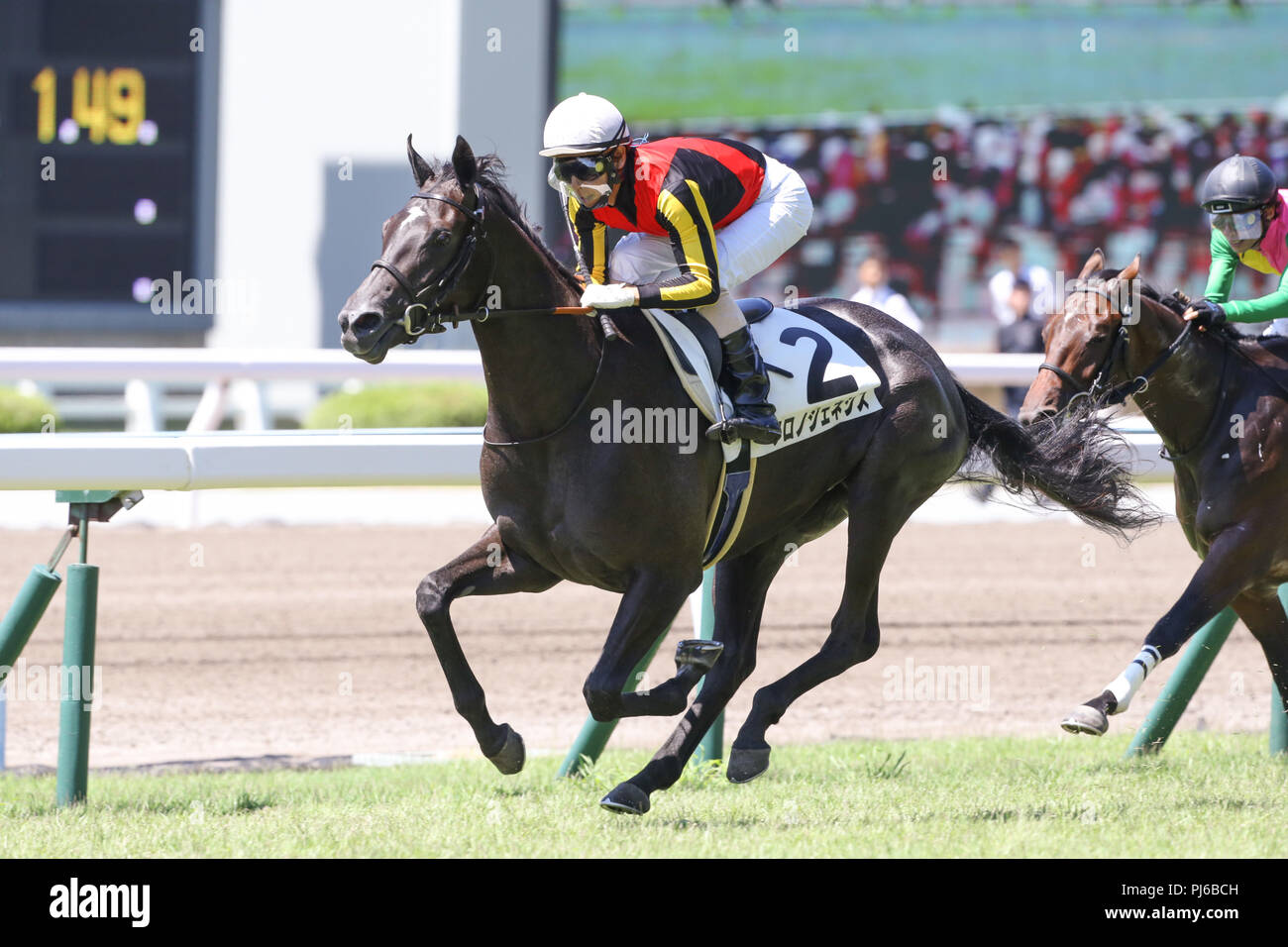 Fukuoka, Japan. 2nd Sep, 2018. Chrono Genesis (Yuichi Kitamura) Horse ...