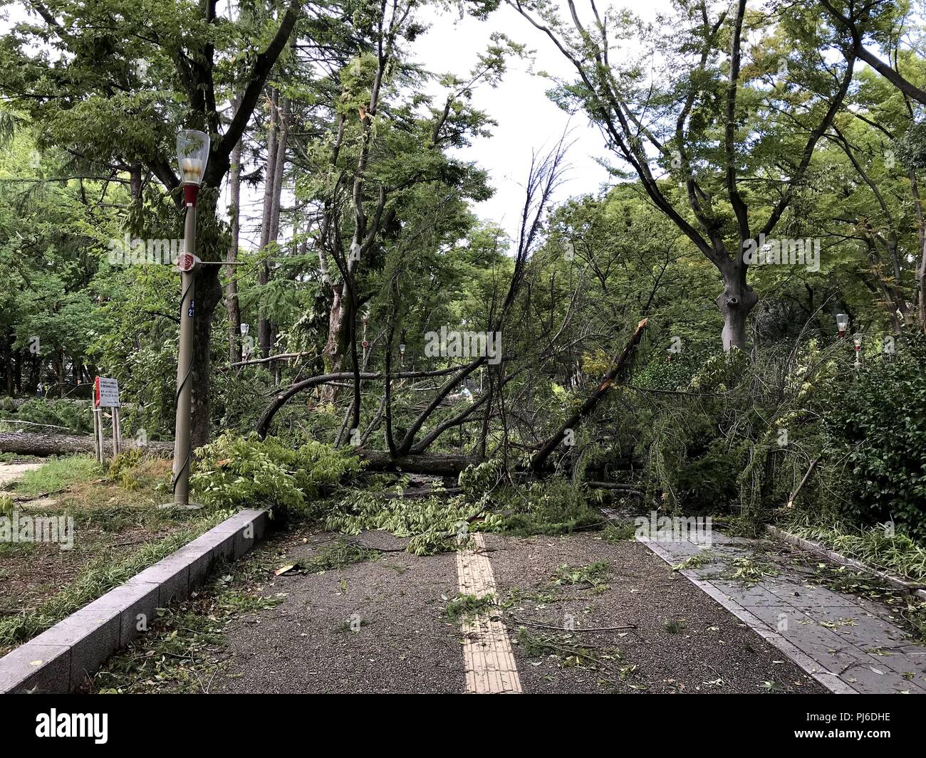 Utsubo park japan hi-res stock photography and images - Alamy