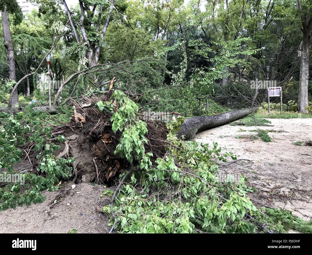 Utsubo park japan hi-res stock photography and images - Alamy