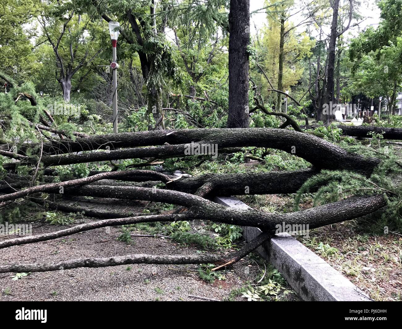 Utsubo park japan hi-res stock photography and images - Alamy