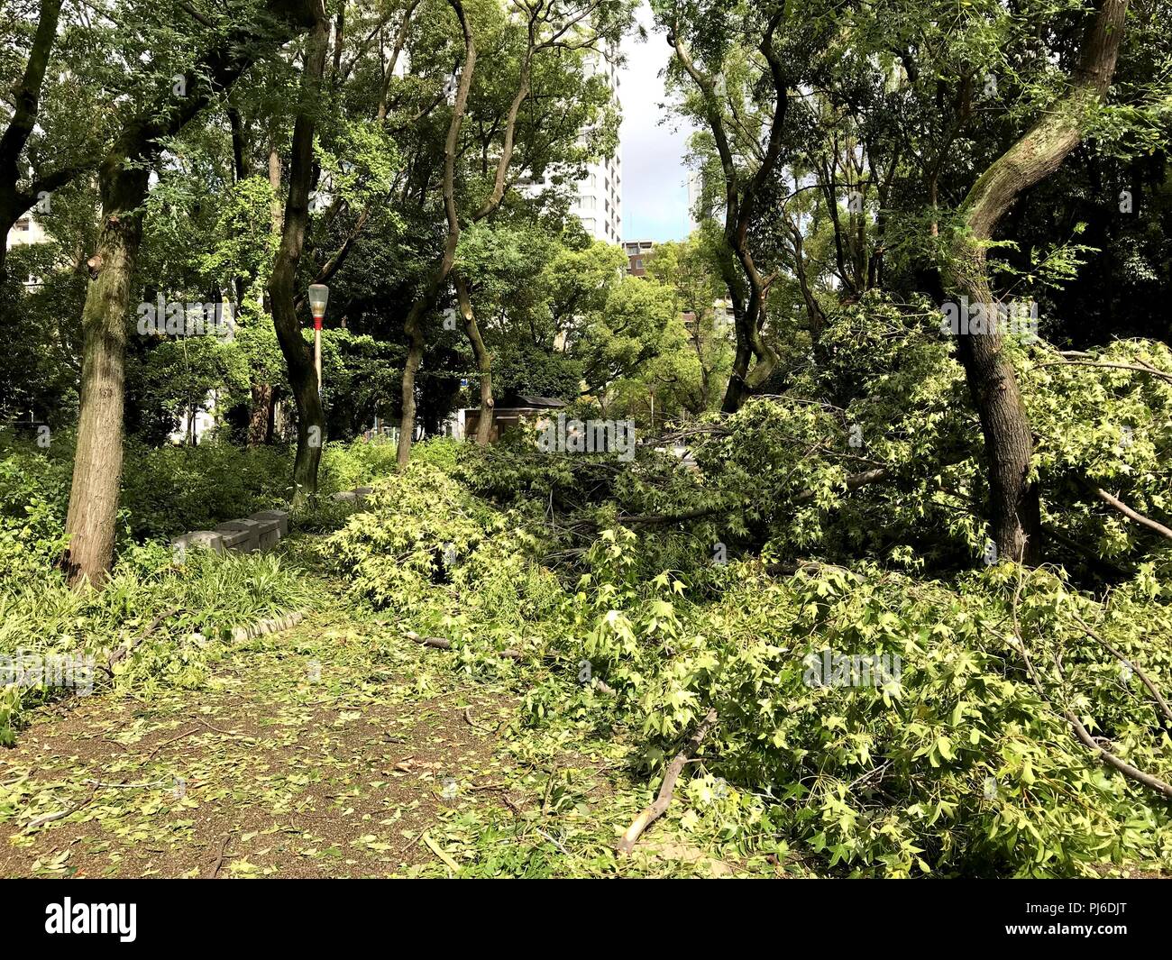 Utsubo park japan hi-res stock photography and images - Alamy