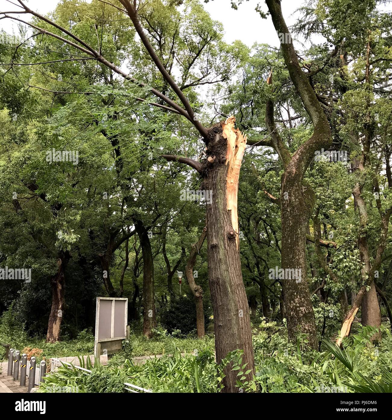 Utsubo park japan hi-res stock photography and images - Alamy