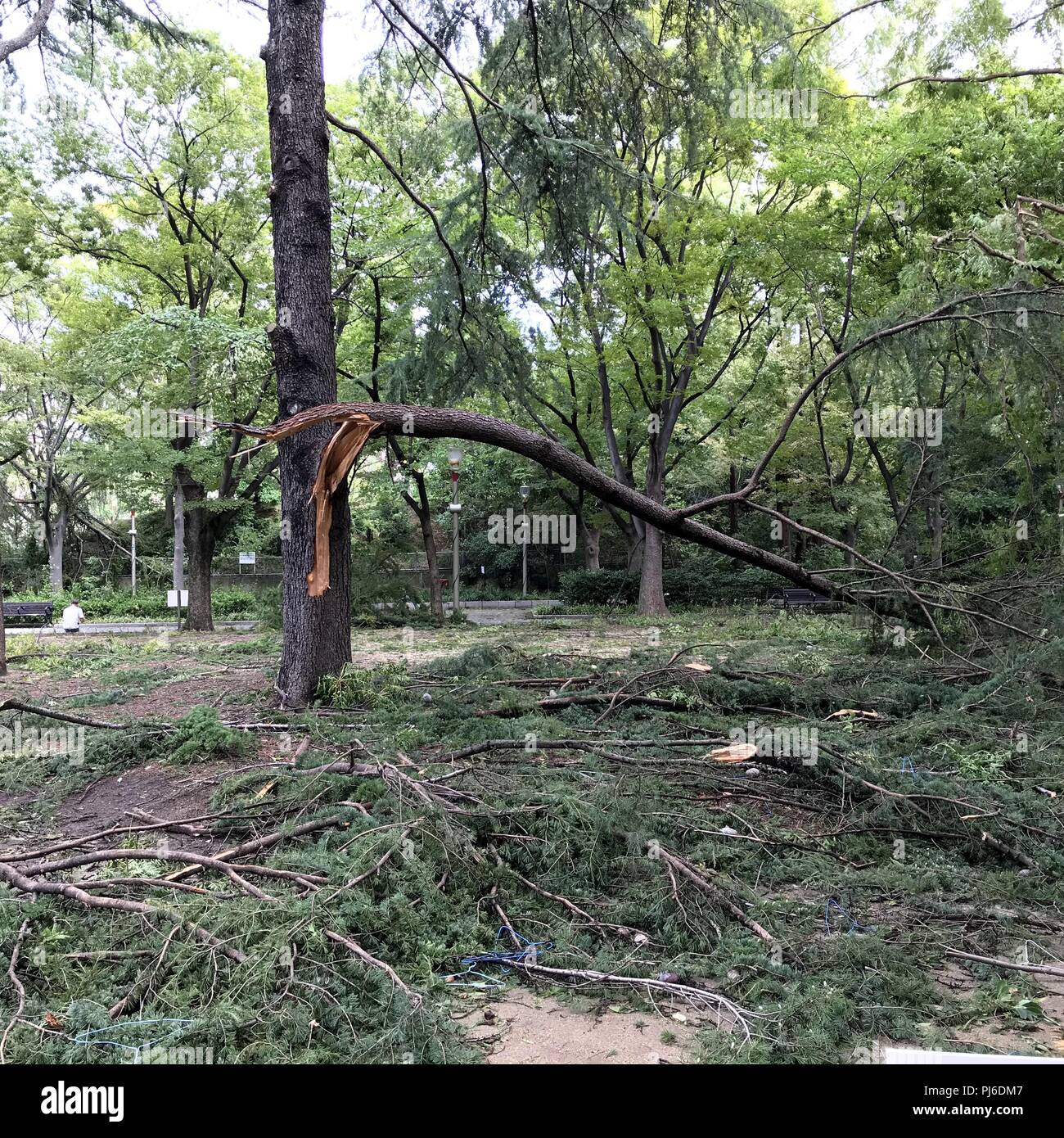 Utsubo park japan hi-res stock photography and images - Alamy