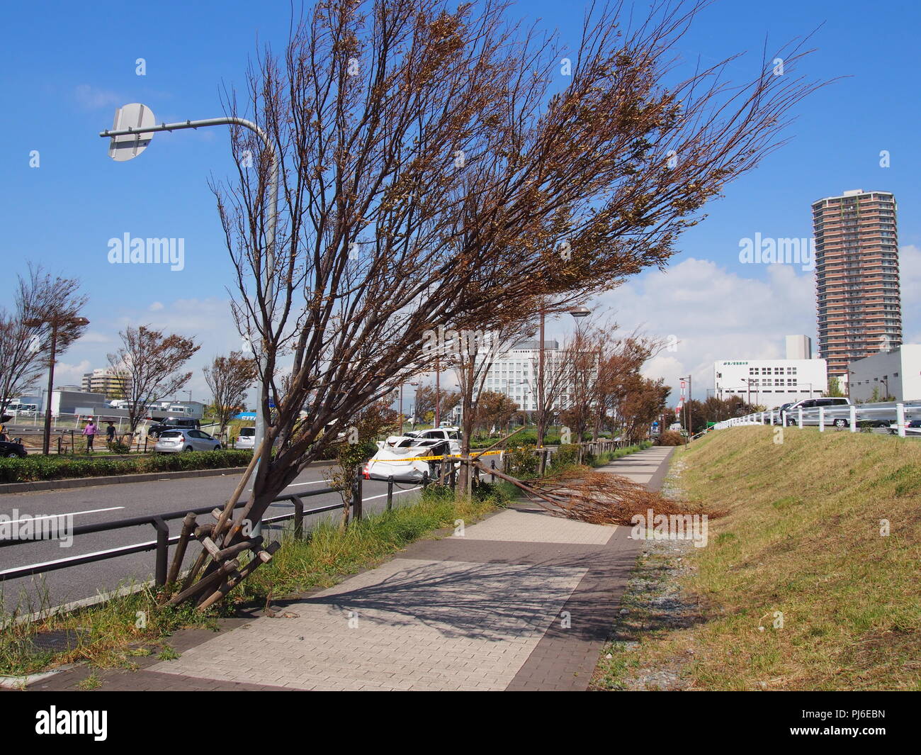 Suminoe-ku, Osaka city, Japan. 5th Sep, 2018. Debris is seen in Osaka ...