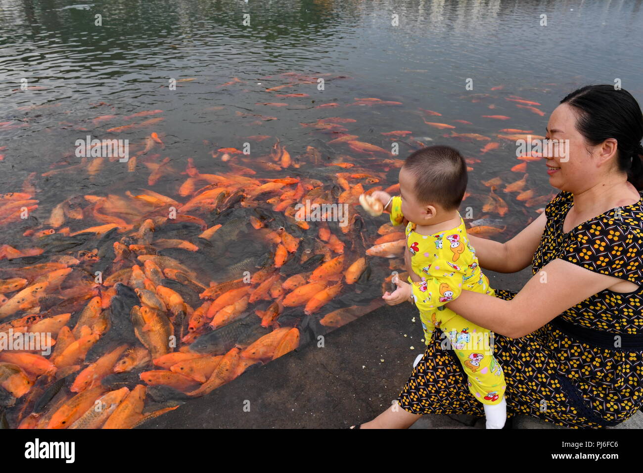Baby zhang hi-res stock photography and images - Alamy