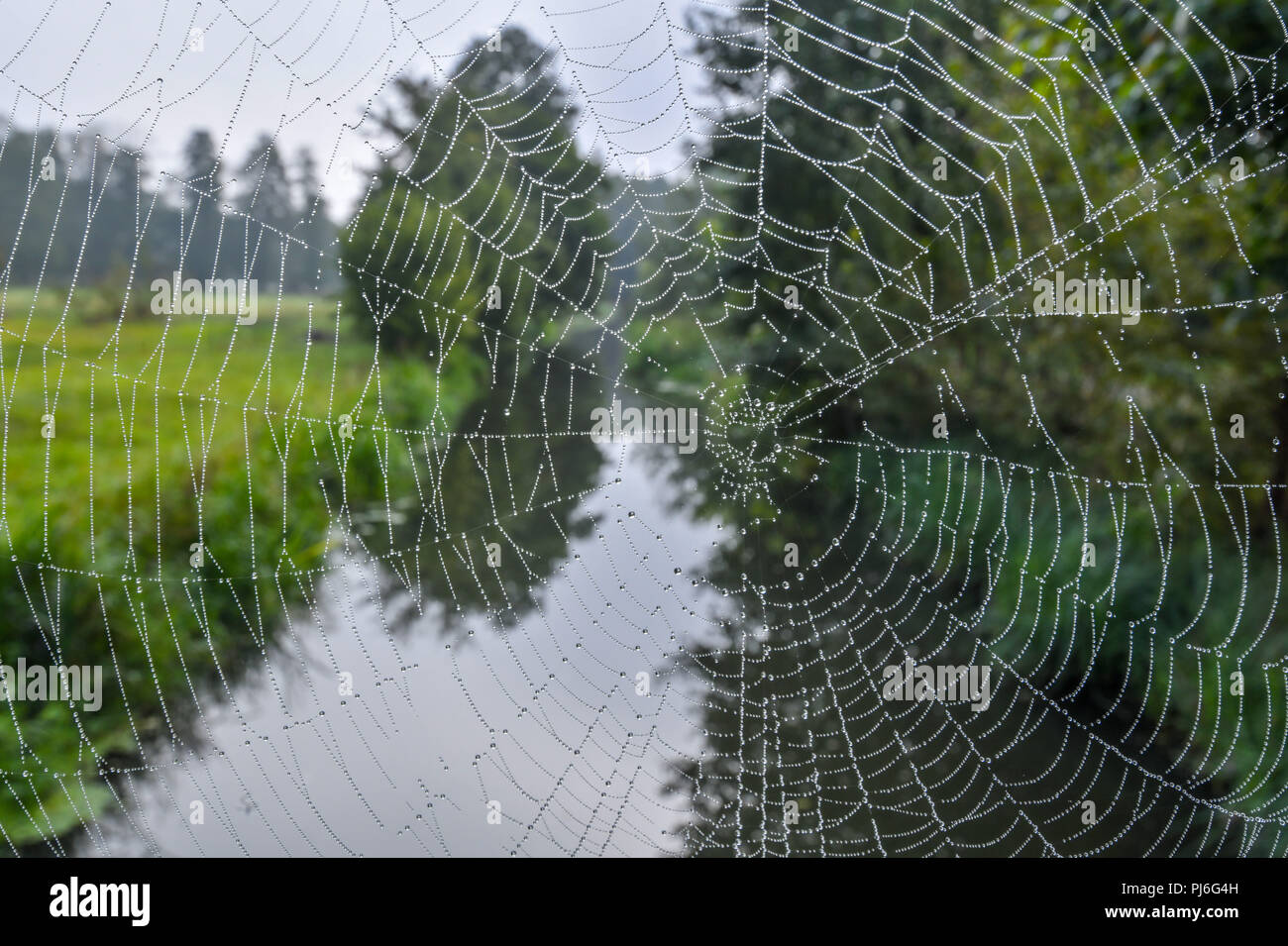Spider on railing hi-res stock photography and images - Alamy