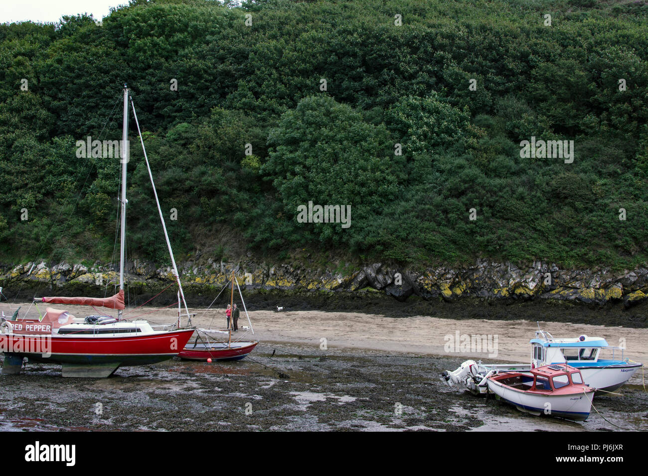 Beautiful solva hi-res stock photography and images - Alamy