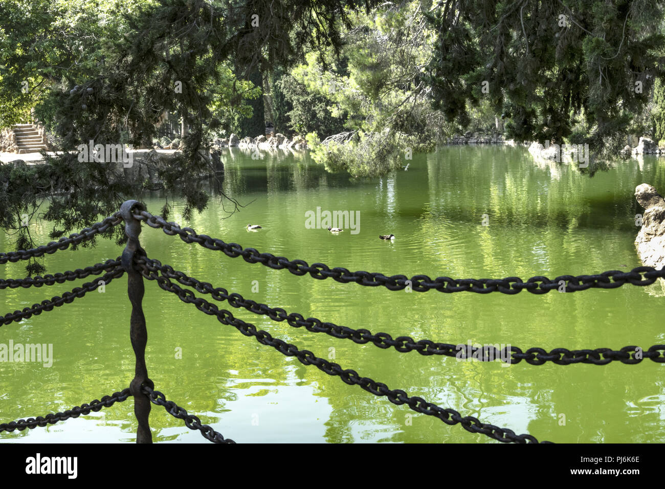 Catwalk with safety chains to preserve the pond ducks Stock Photo - Alamy