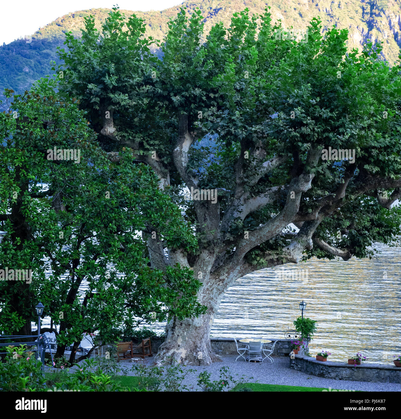 Lake como branch hi-res stock photography and images - Alamy