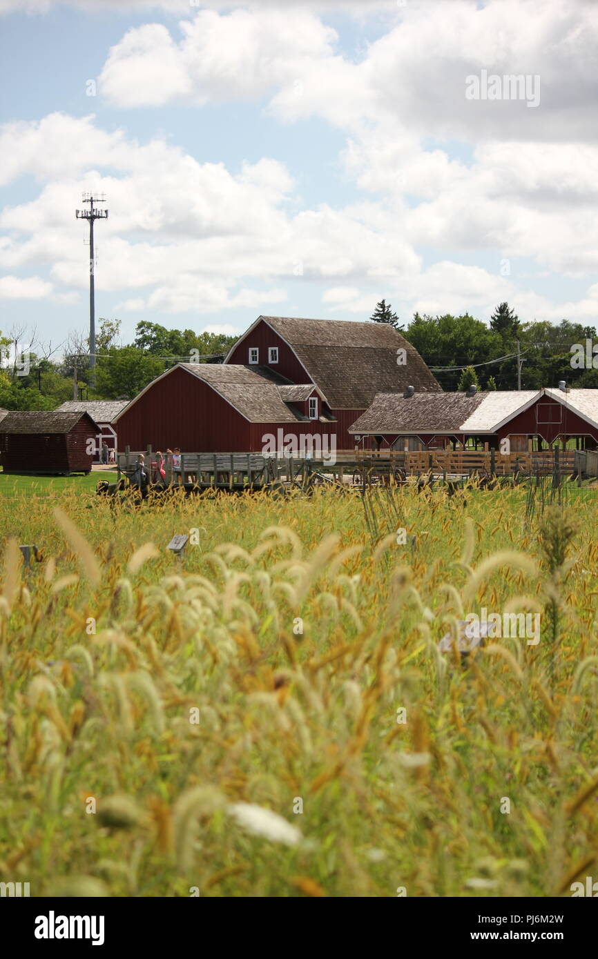 Traditional barn red building built for a farm Stock Photo - Alamy