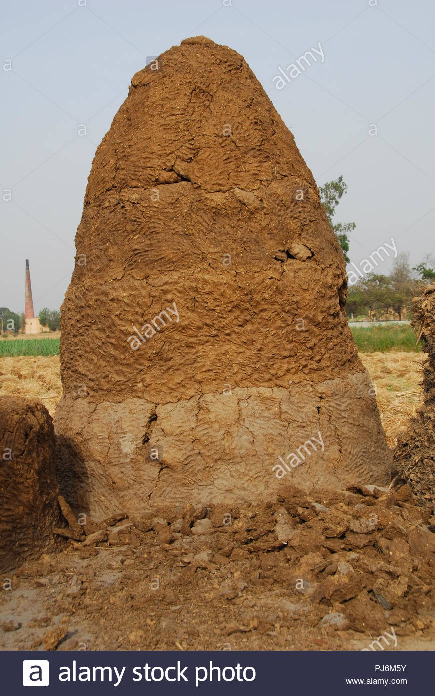 Buffalo Dung Stock Photos & Buffalo Dung Stock Images - Alamy