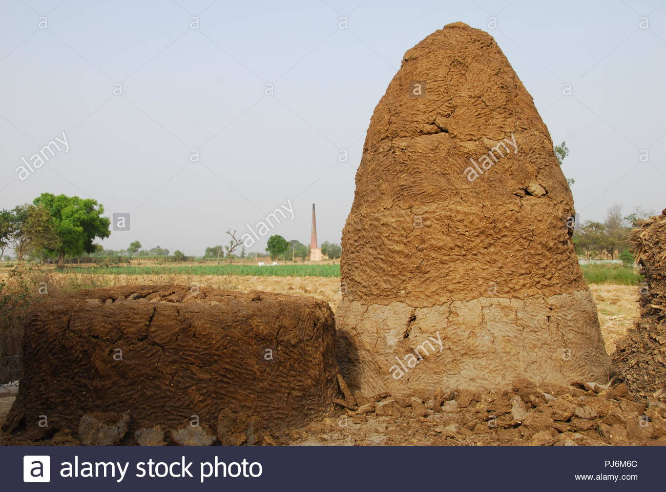 Buffalo Dung Stock Photos & Buffalo Dung Stock Images - Alamy