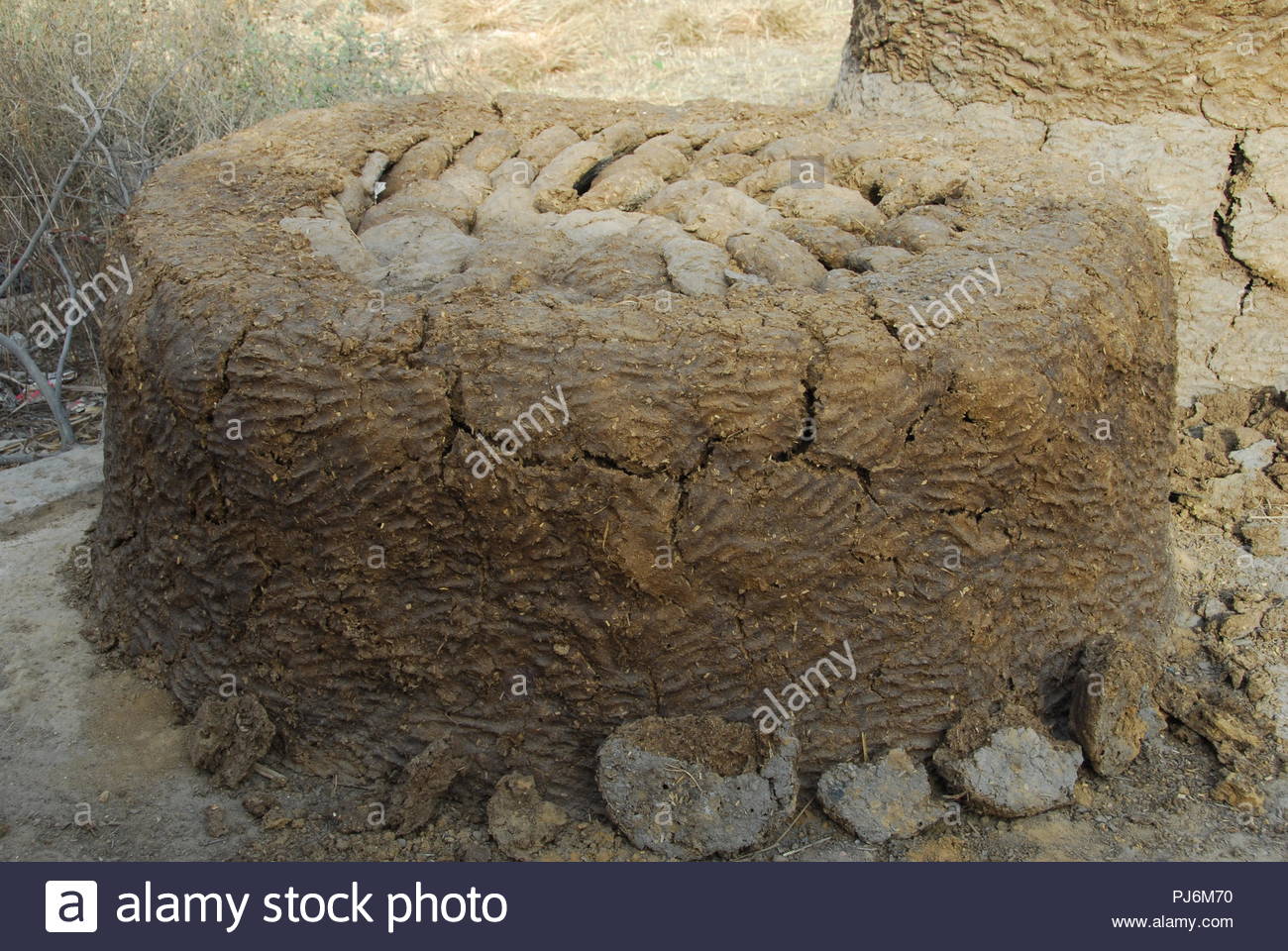 Buffalo Dung Stock Photos & Buffalo Dung Stock Images - Alamy