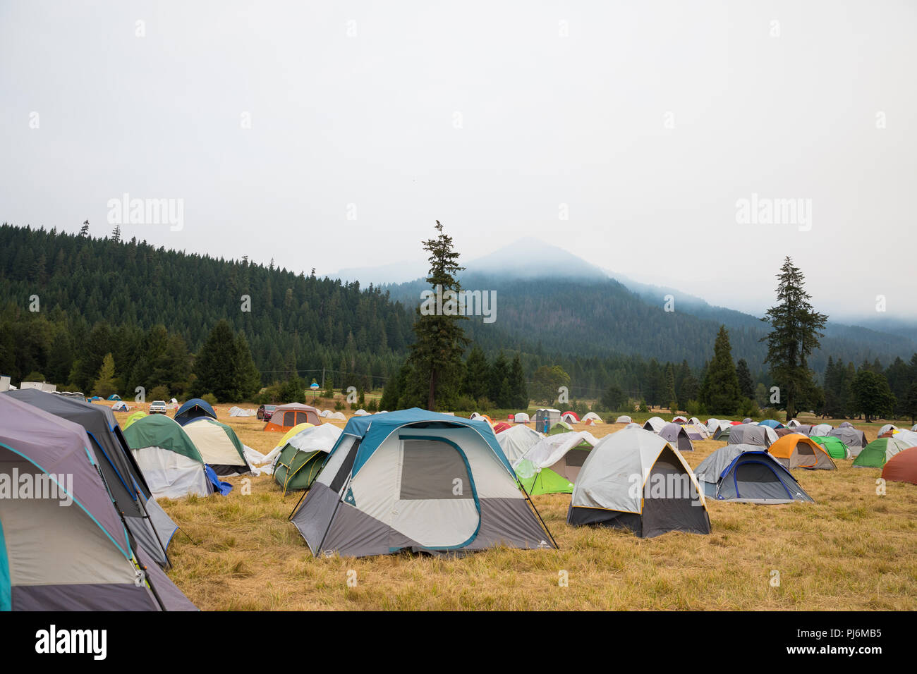 Willamette national forest hi-res stock photography and images - Alamy