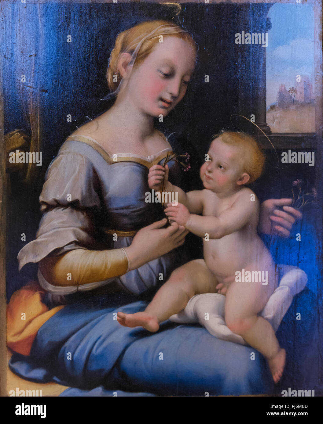 Madonna Of The Pinks Virgin Mary With Child By Raphael Galleria Madonna Of The Pinks Virgin Mary With Child By Raphael Galleria