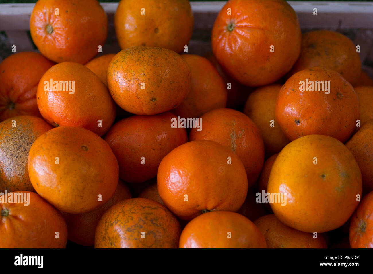 Fresh picked tangerines hi-res stock photography and images - Alamy