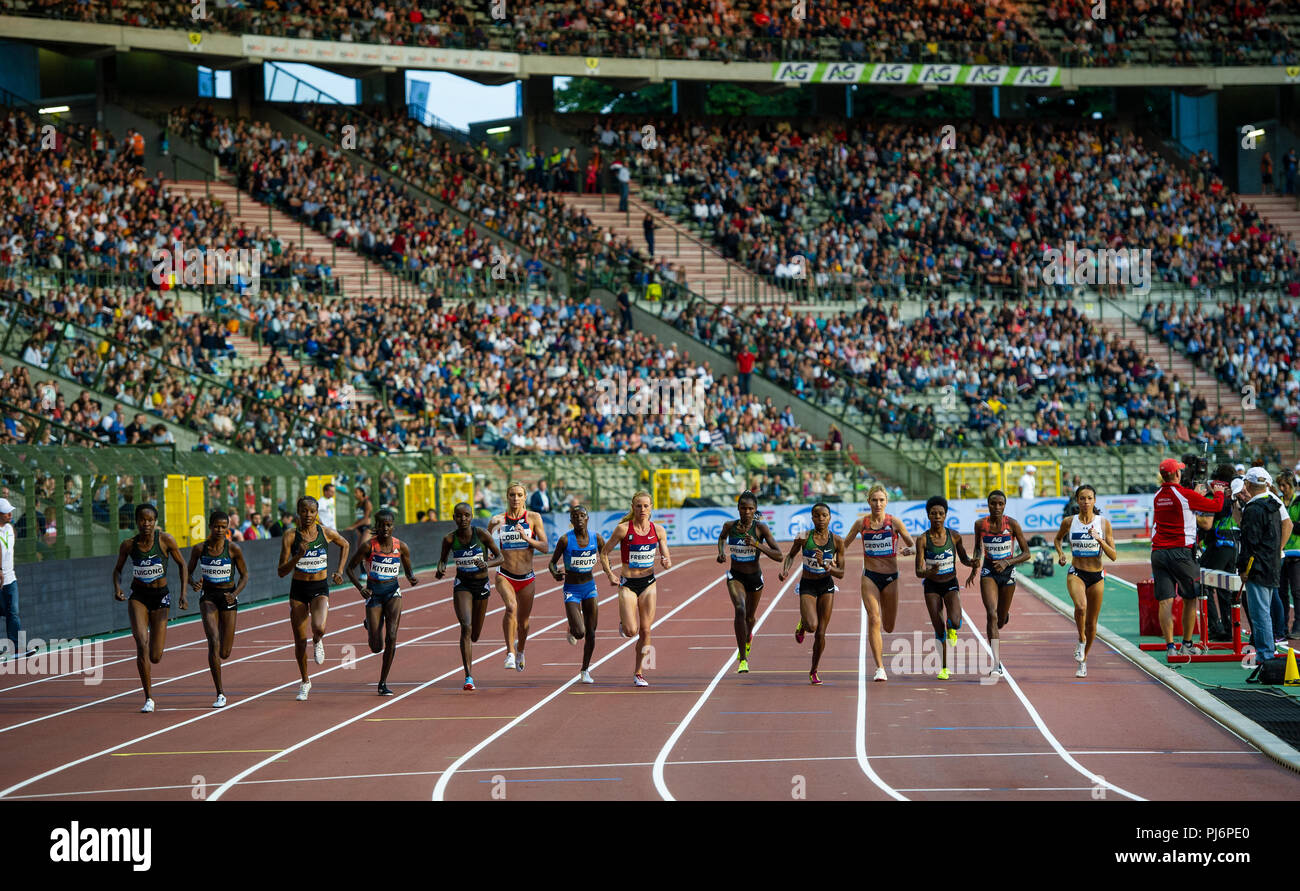 BRUSSELS - BELGIUM, 31 AUG 18. Women's 3000m Steeplechase at the IAAF Diamond League ( AG ...