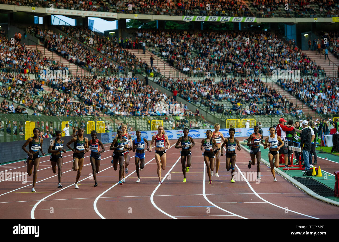 BRUSSELS - BELGIUM, 31 AUG 18. Women's 3000m Steeplechase at the IAAF Diamond League ( AG ...