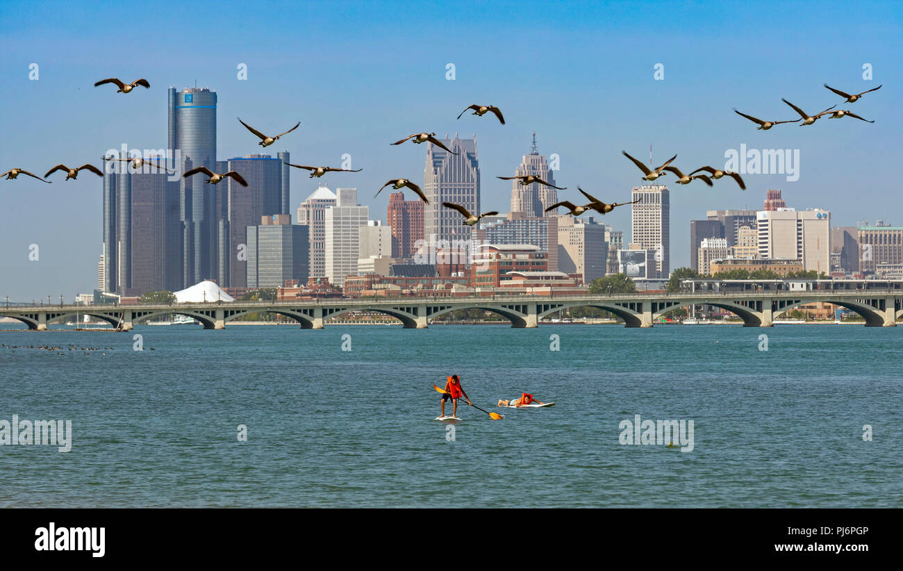 Detroit, Michigan - Canada geese fly over people playing in the Detroit ...