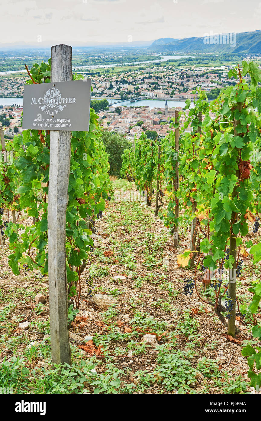 Rhone valley vineyard hi-res stock photography and images - Alamy