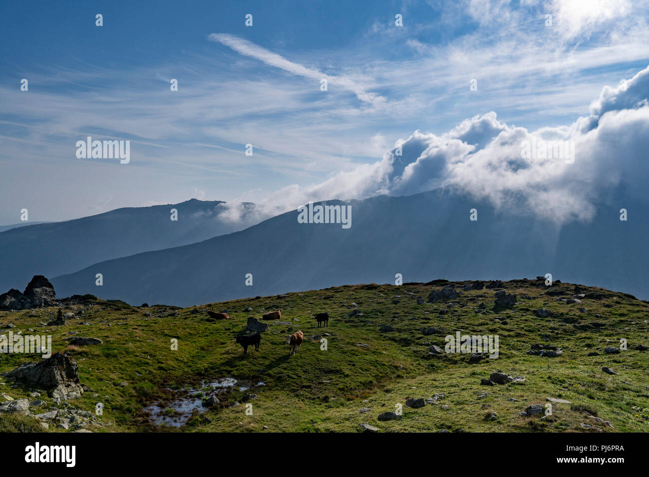 Parangul mare hi-res stock photography and images - Alamy