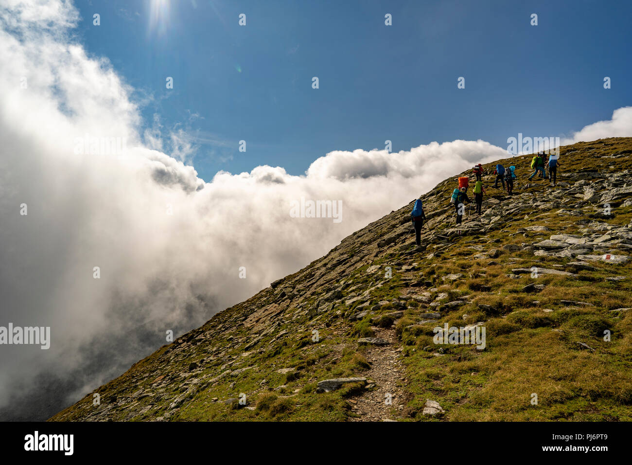Parangul mare hi-res stock photography and images - Alamy