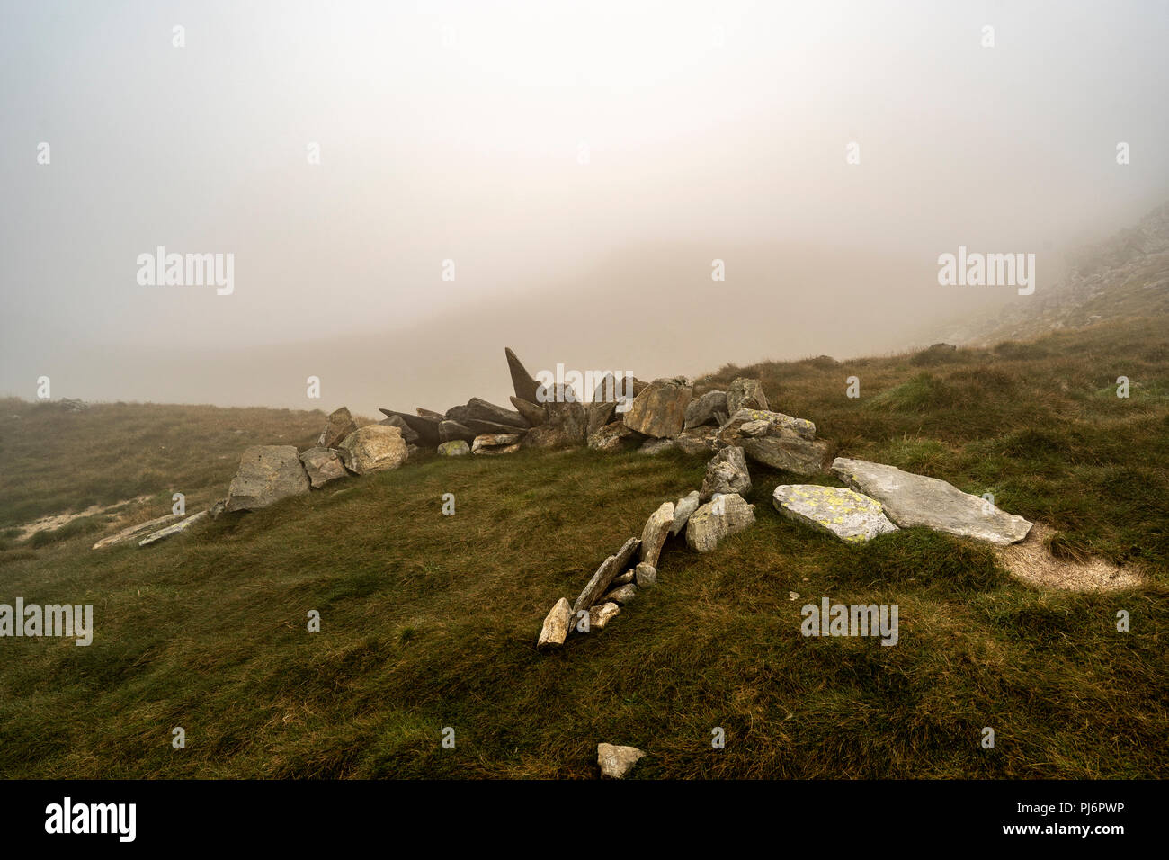 Parangul mare hi-res stock photography and images - Alamy