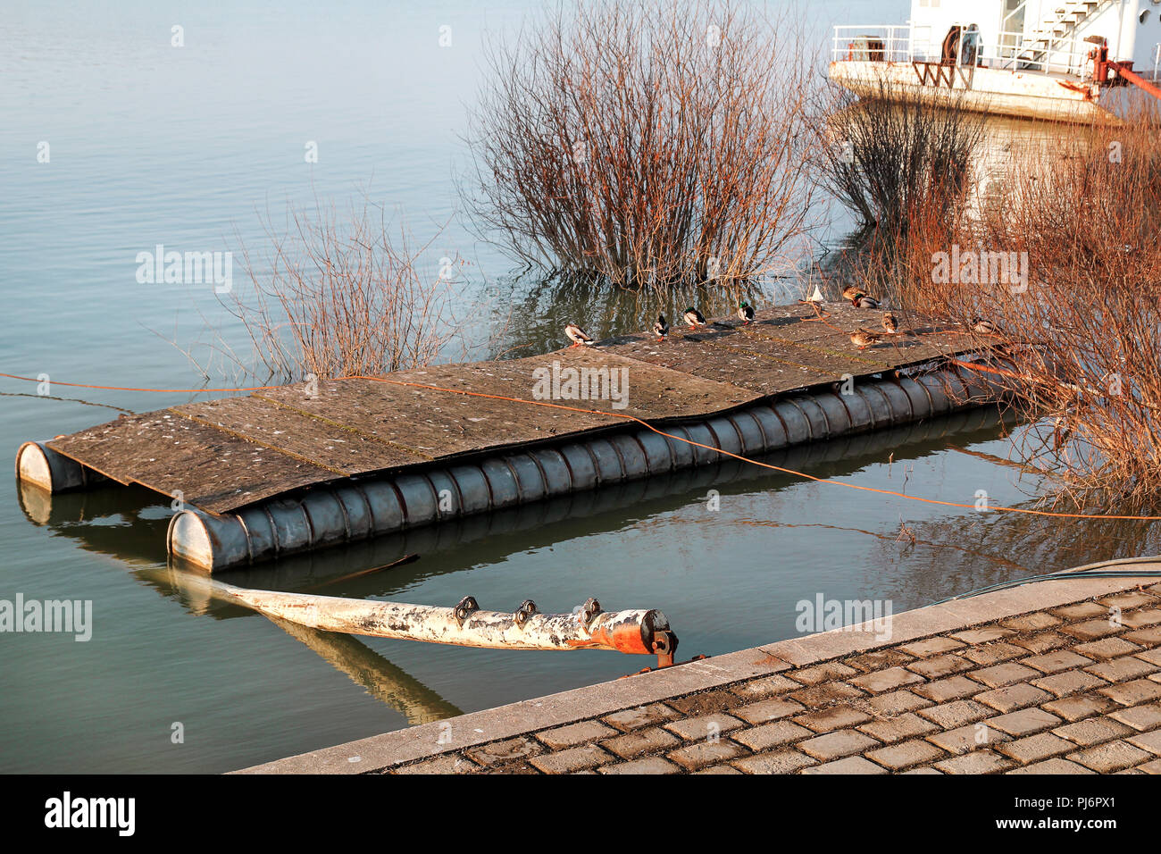 Pontoon raft. The pontoon raft on the river. In the winter morning sun ...