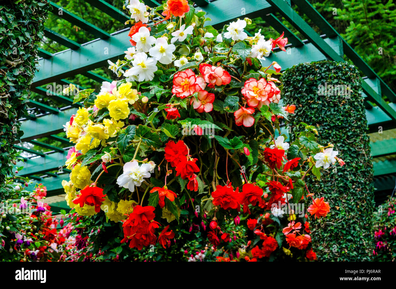 Burchart gardens hi-res stock photography and images - Alamy