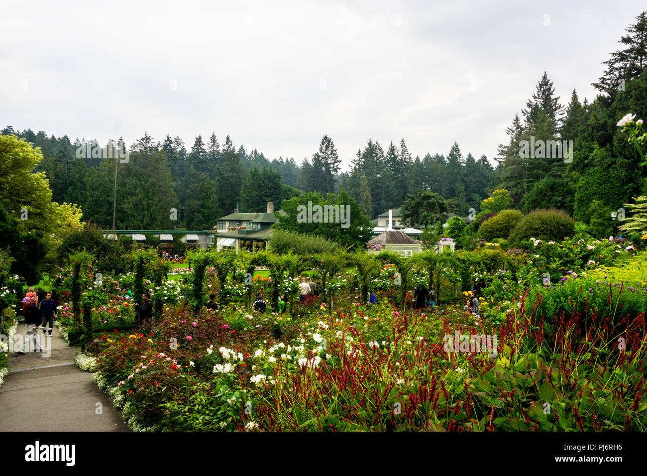 Visitors at butchart gardens hi-res stock photography and images - Alamy