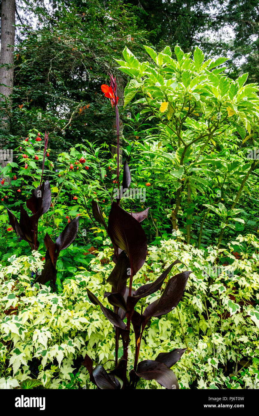 Victoria British Columbia Canada Butchart Gardens Stock Photo - Alamy