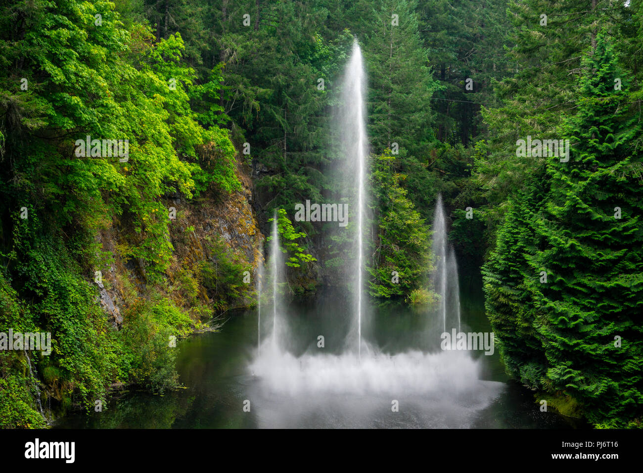 Victoria British Columbia Canada Butchart Gardens Stock Photo - Alamy