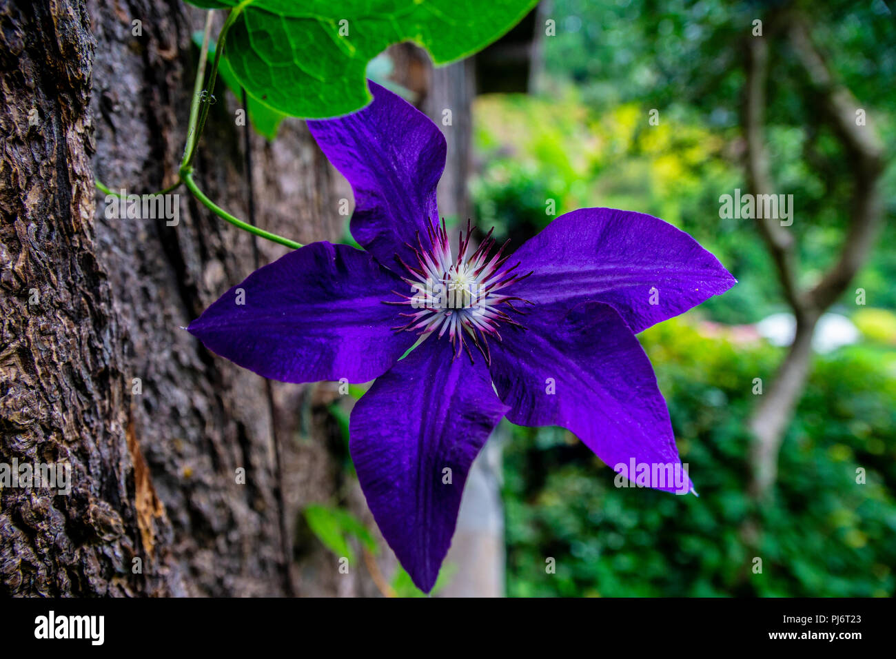Victoria British Columbia Canada Burchart Gardens a beautiful yet ...