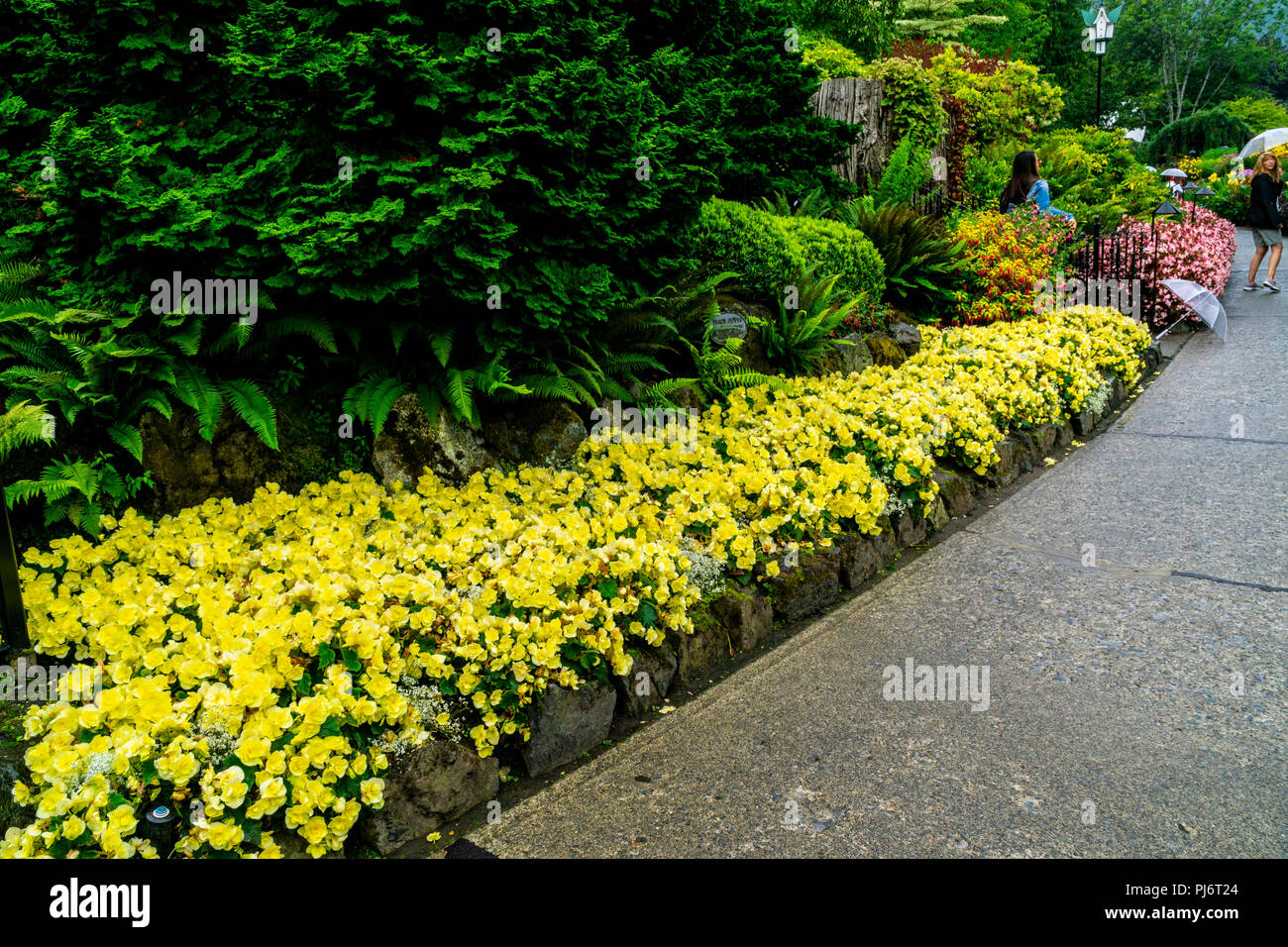 Victoria British Columbia Canada Burchart Gardens Stock Photo - Alamy