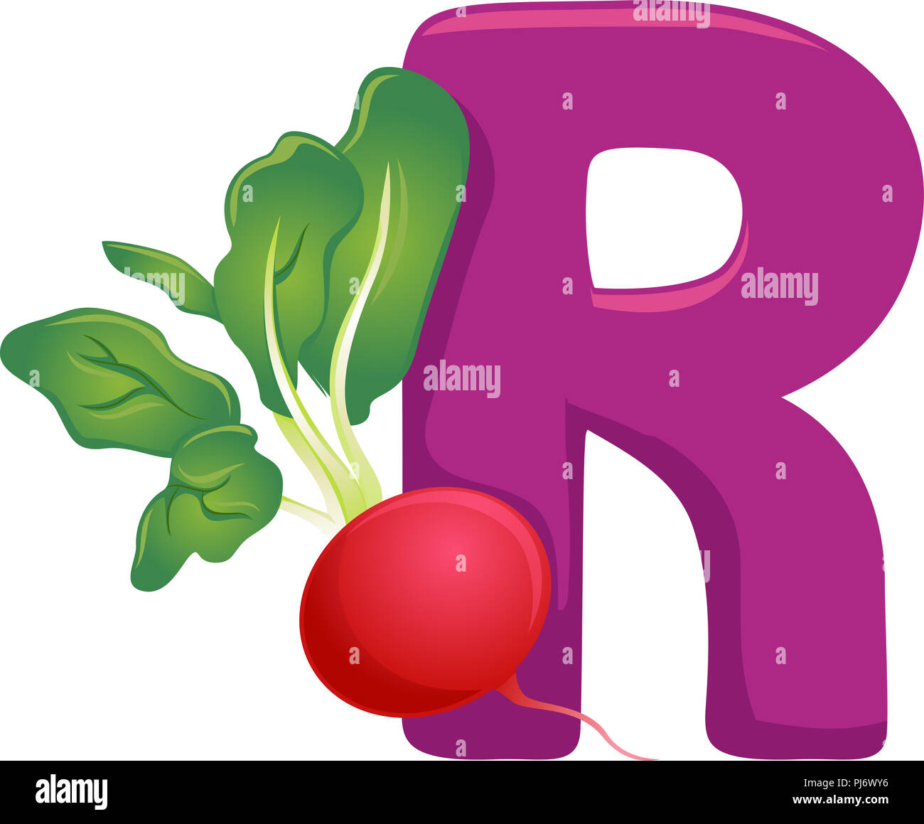 Illustration of Vegetables Alphabet, a Purple Letter R and a Radish ...