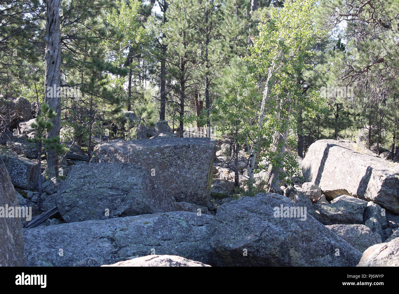 Outdoor Nature Scene Stock Photo - Alamy