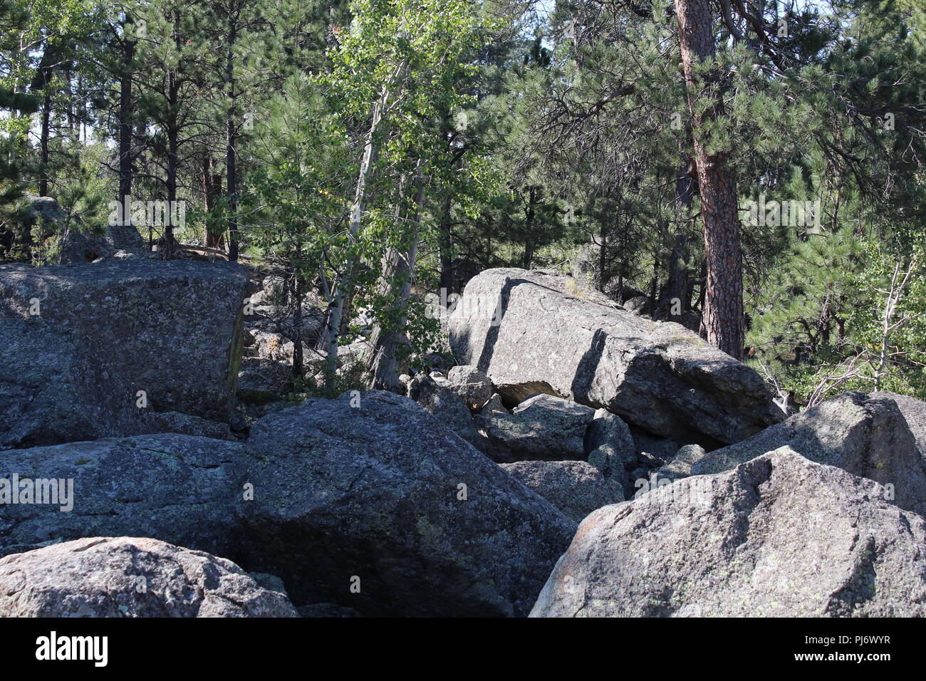 Outdoor Nature Scene Stock Photo - Alamy