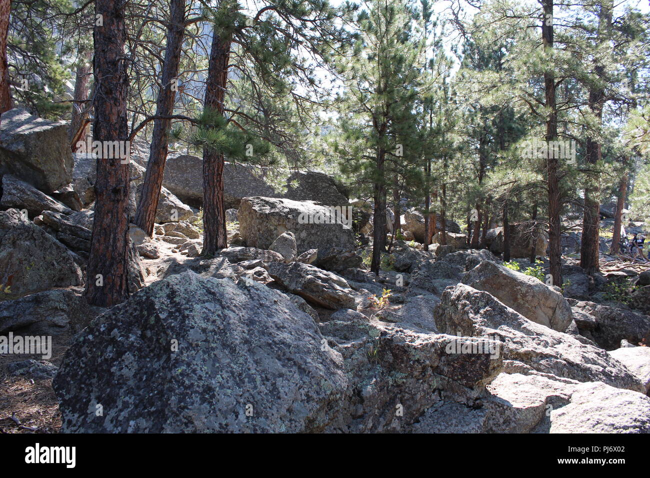 Outdoor Nature Scene Stock Photo - Alamy