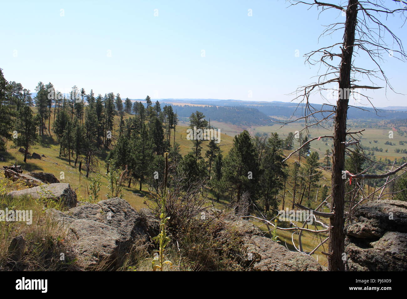 Outdoor Nature Scene Stock Photo - Alamy