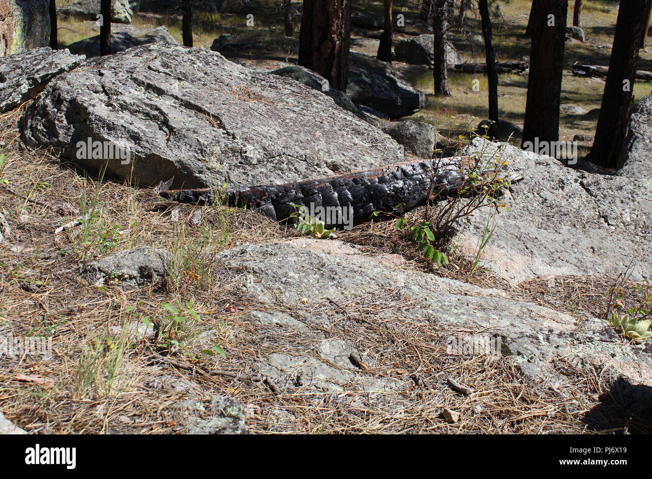 Outdoor Nature Scene Stock Photo - Alamy