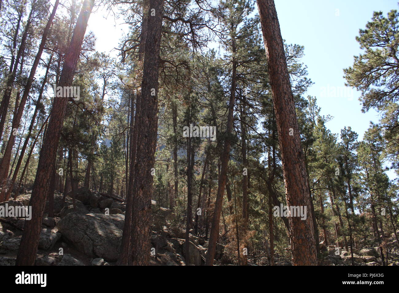 Outdoor Nature Scene Stock Photo - Alamy