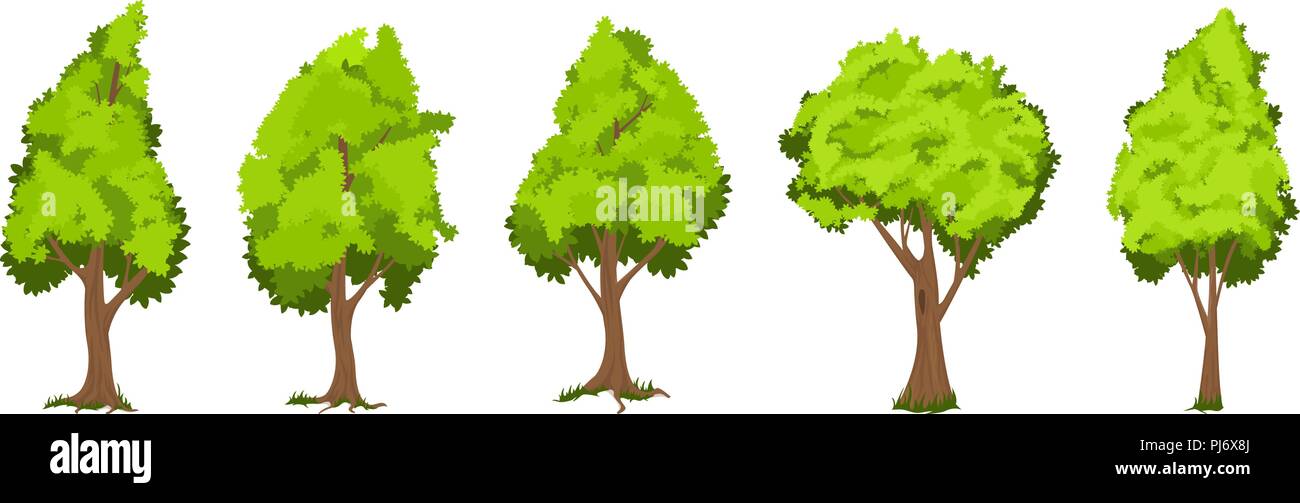 Vector trees set Stock Vector Image & Art - Alamy