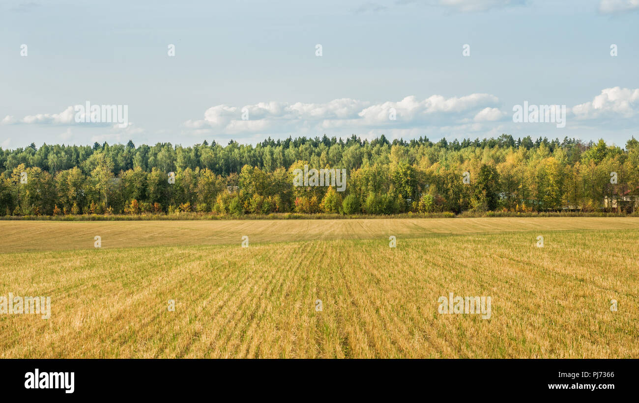 Autumn field with trees, sky with clouds. A clear and serene day Stock ...