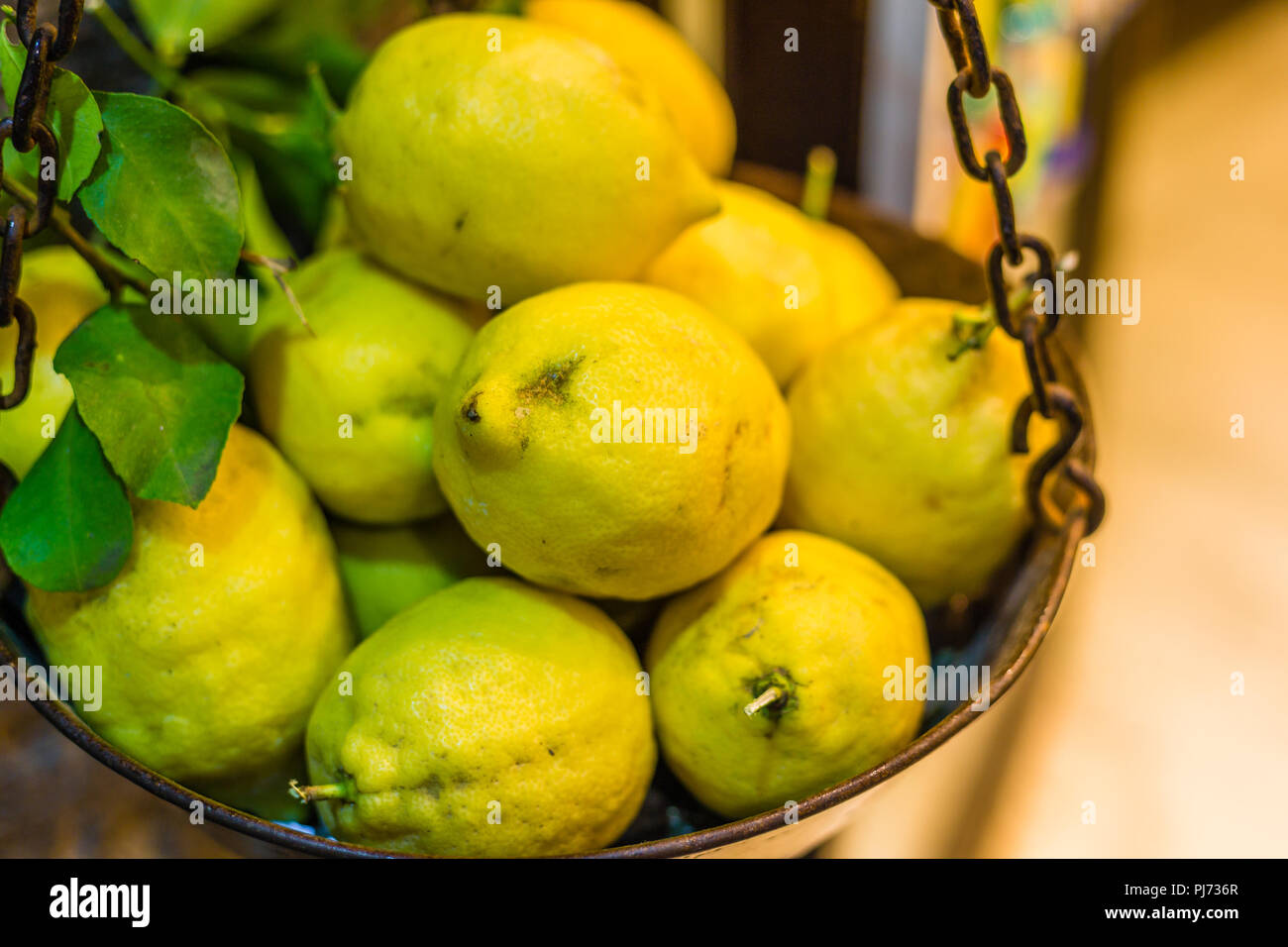 closeup of bunch of organic lemons on Plate of an ancient scale Stock ...