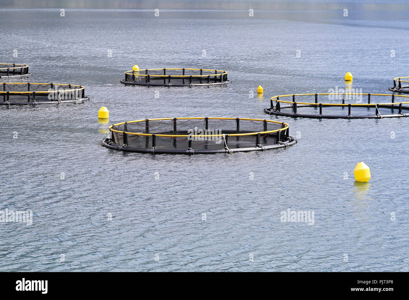 Fish farming cages hi-res stock photography and images - Alamy
