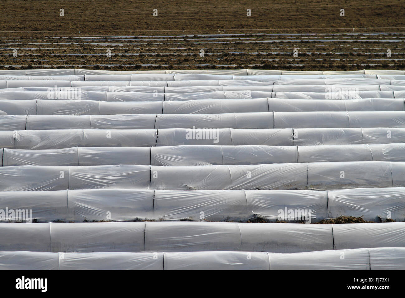 Floating row cover hi-res stock photography and images - Alamy