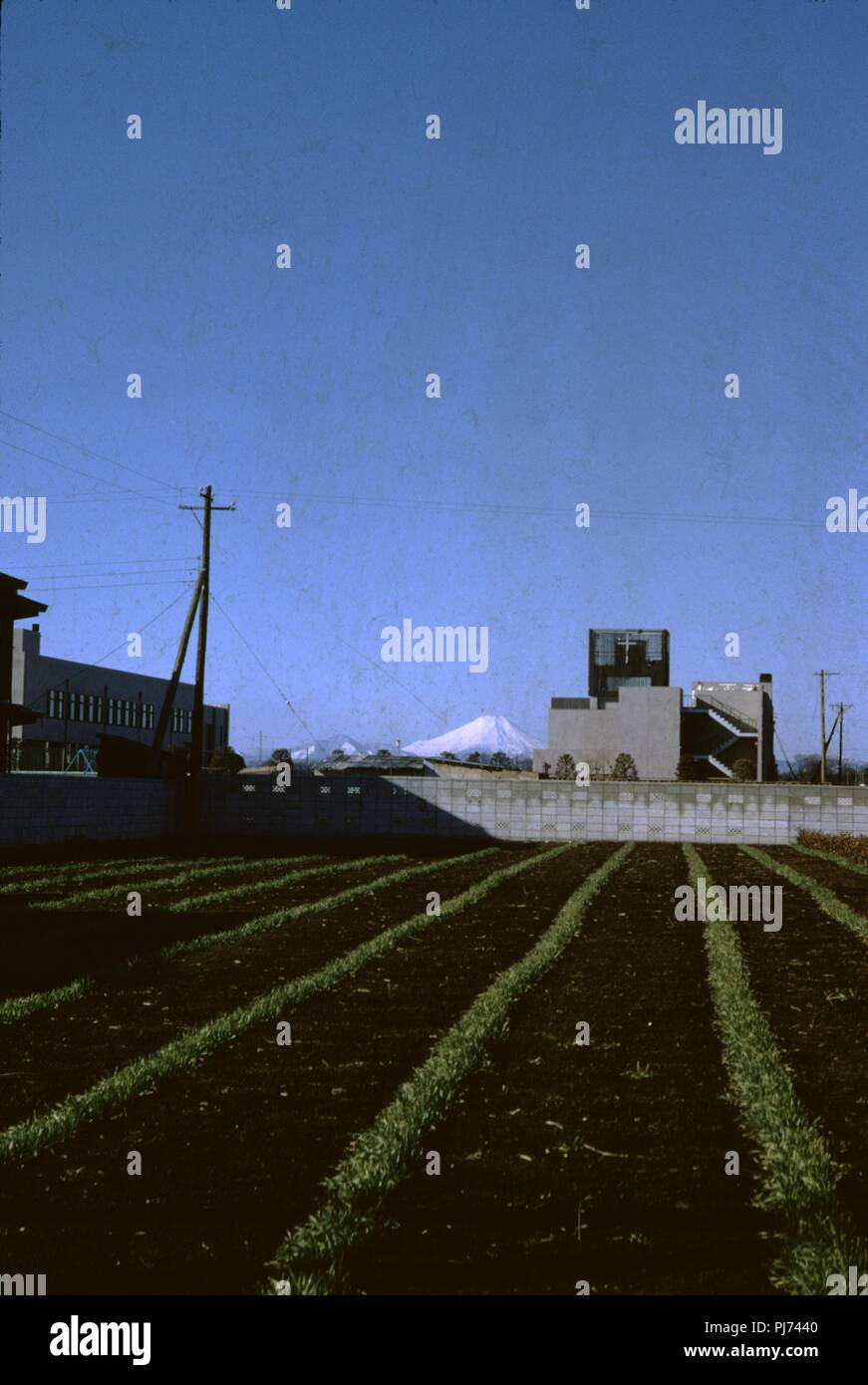 Vintage archival photograph taken in 1965 Stock Photo - Alamy