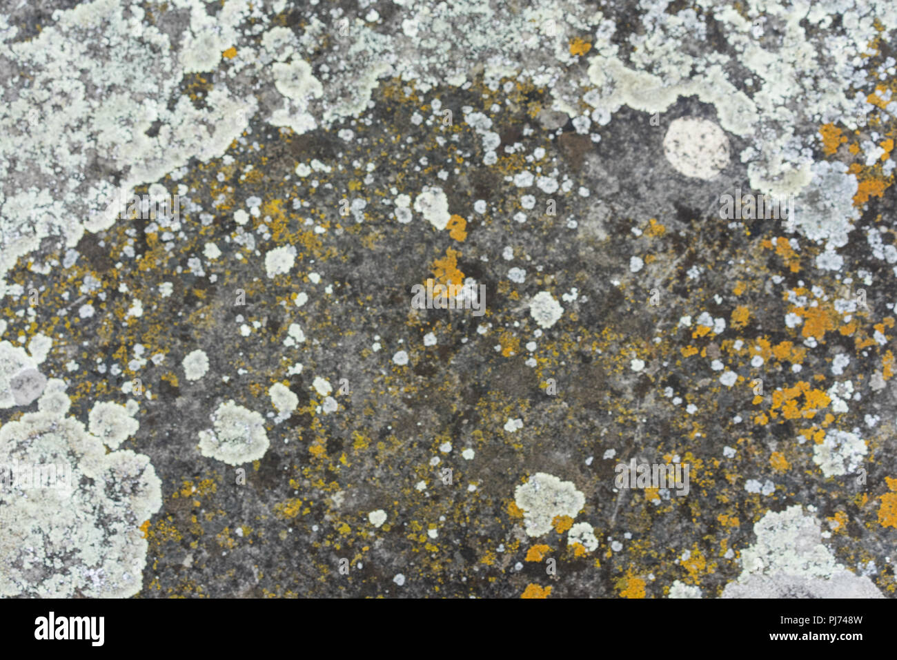 old stone with moss full frame view Stock Photo - Alamy