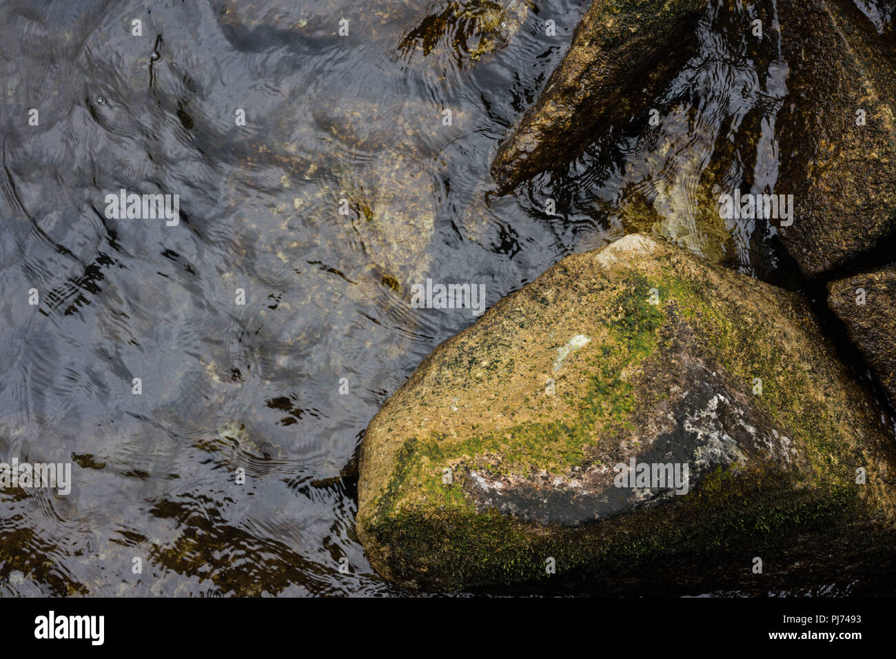 big stone at water shore with small waves Stock Photo - Alamy