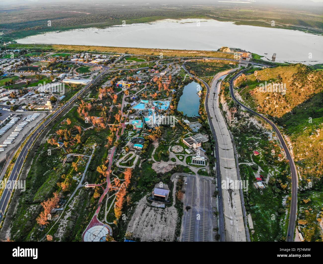 Estructura de la planta hi-res stock photography and images - Alamy